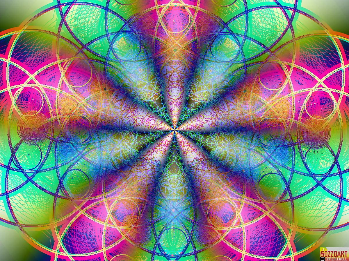 ATOMIC 26 – VU Publishing